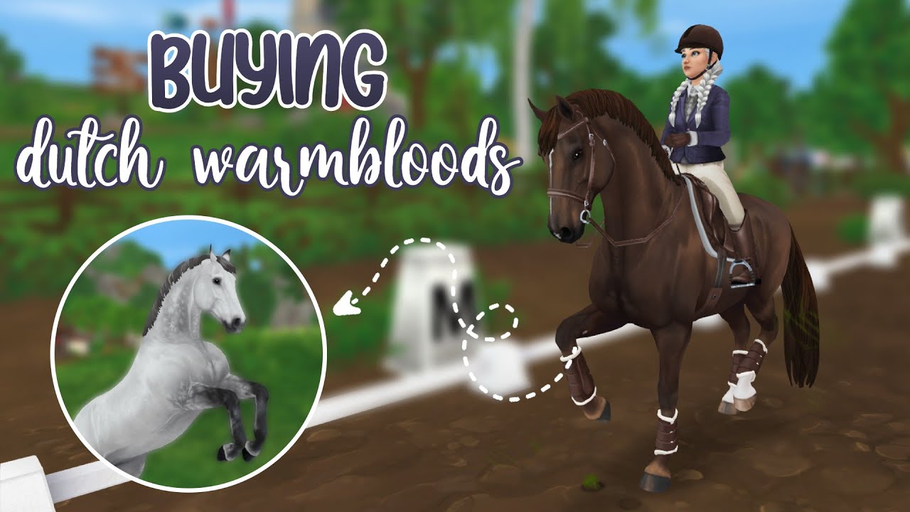 Buying NEW Dutch Warmbloods || Star Stable Online - YouTube