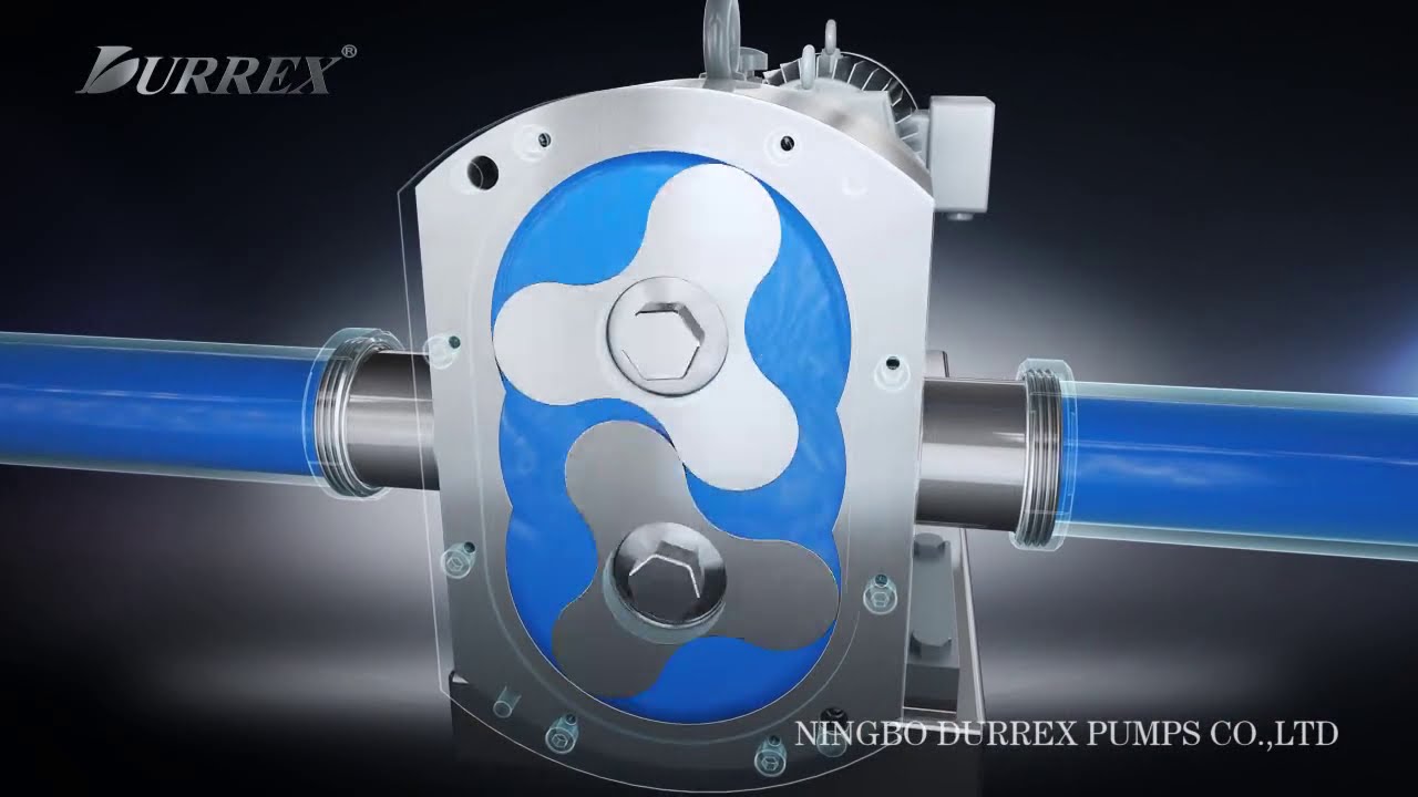 Durrex-Pump Rotary Lobe Pump x264 - YouTube