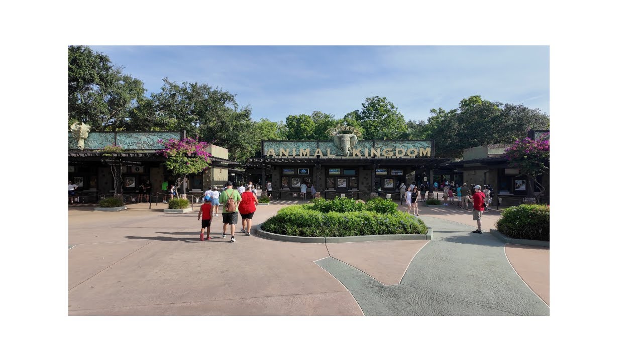 Disney's Animal Kingdom Walkthrough in 4K--Walt Disney World Tour--Walt ...