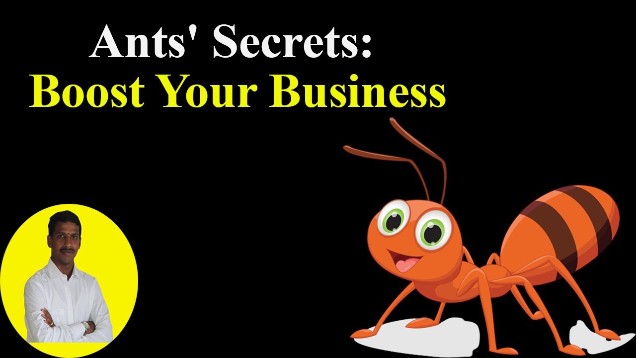 Nature's Business Lessons: Harnessing Ants' Strategies for Success ...