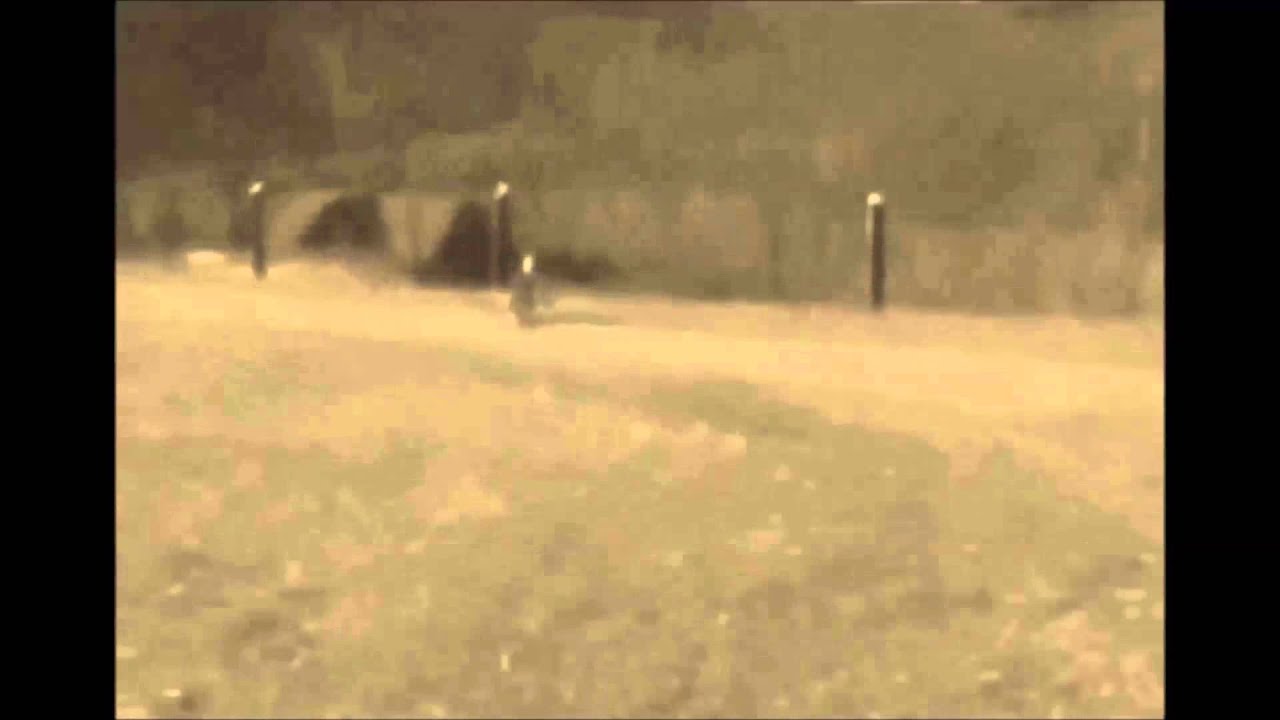 little alien walking and jumping - YouTube