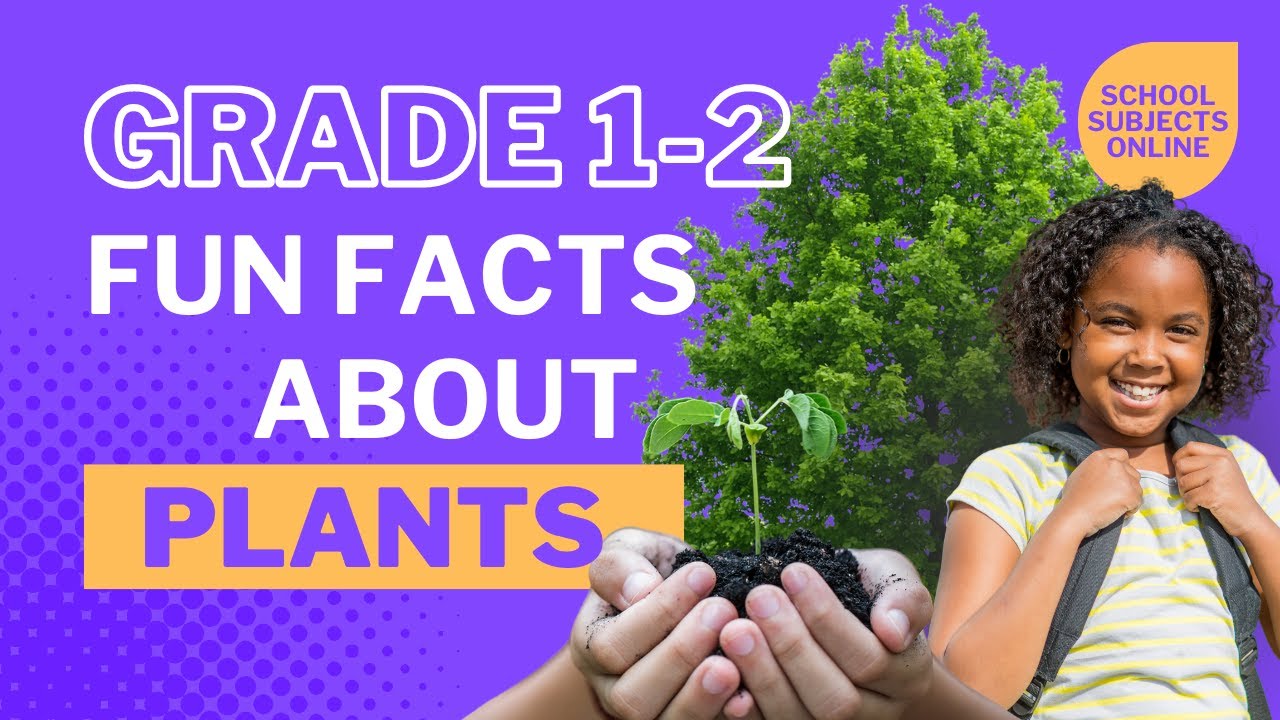 Fun Plant Facts for First Graders - YouTube