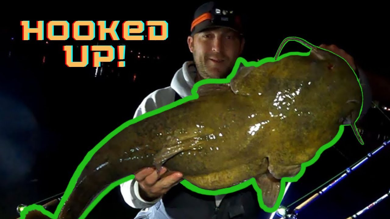 UNCHARTED Water: Ohio River Pool Pays Big With Flatheads!!! - YouTube