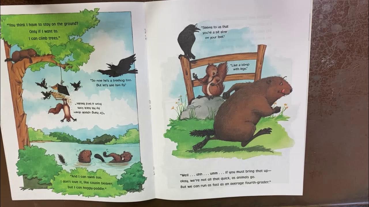 Groundhog Gets A Say - YouTube