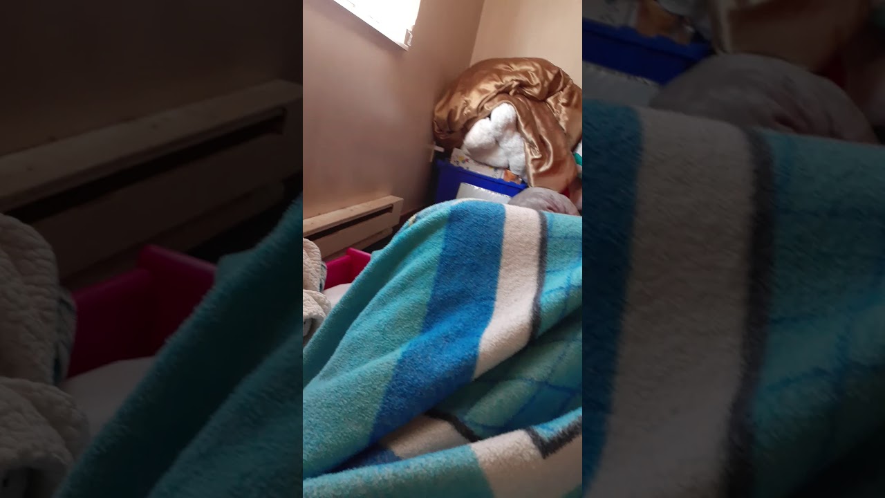 The world's shortest video ever - YouTube