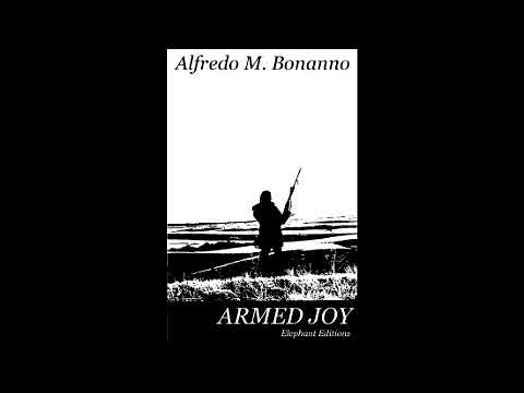 Armed Joy by Alfredo Bonanno - YouTube