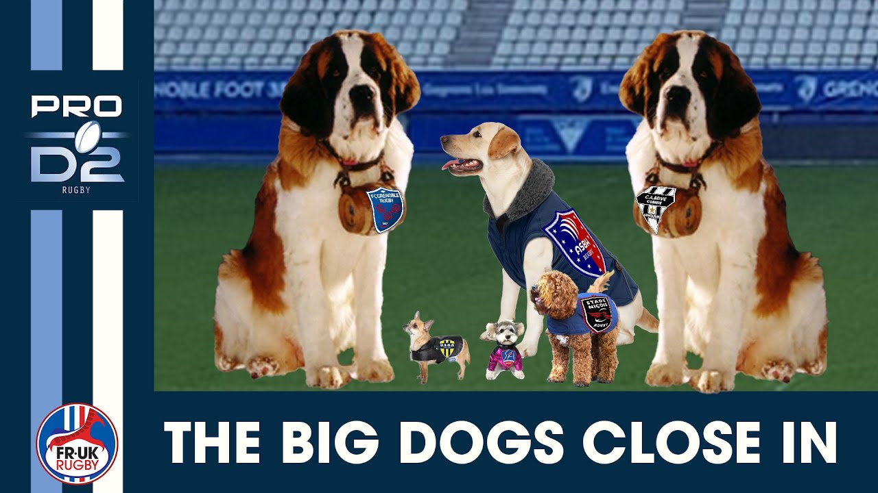 Big Dogs at the TOP - YouTube