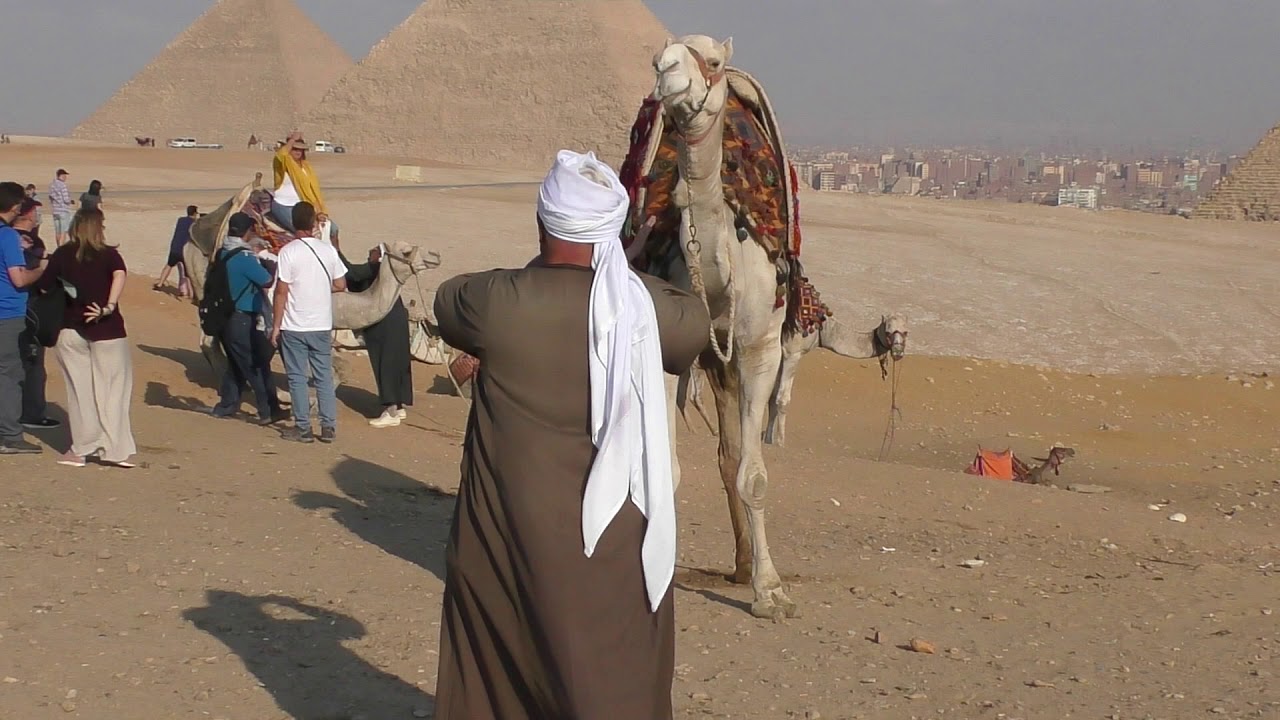 Egyptian pyramids. Footage free. - YouTube