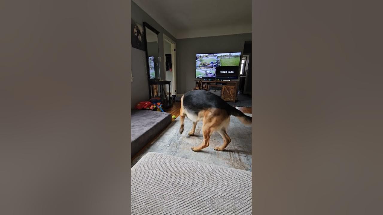 This happens every single day! - YouTube