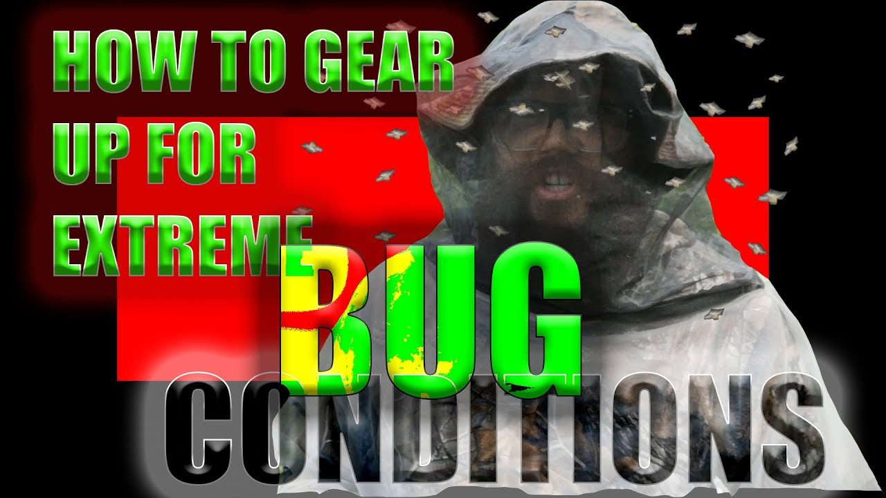 How to Gear Up For Extreme Bug Conditions - YouTube
