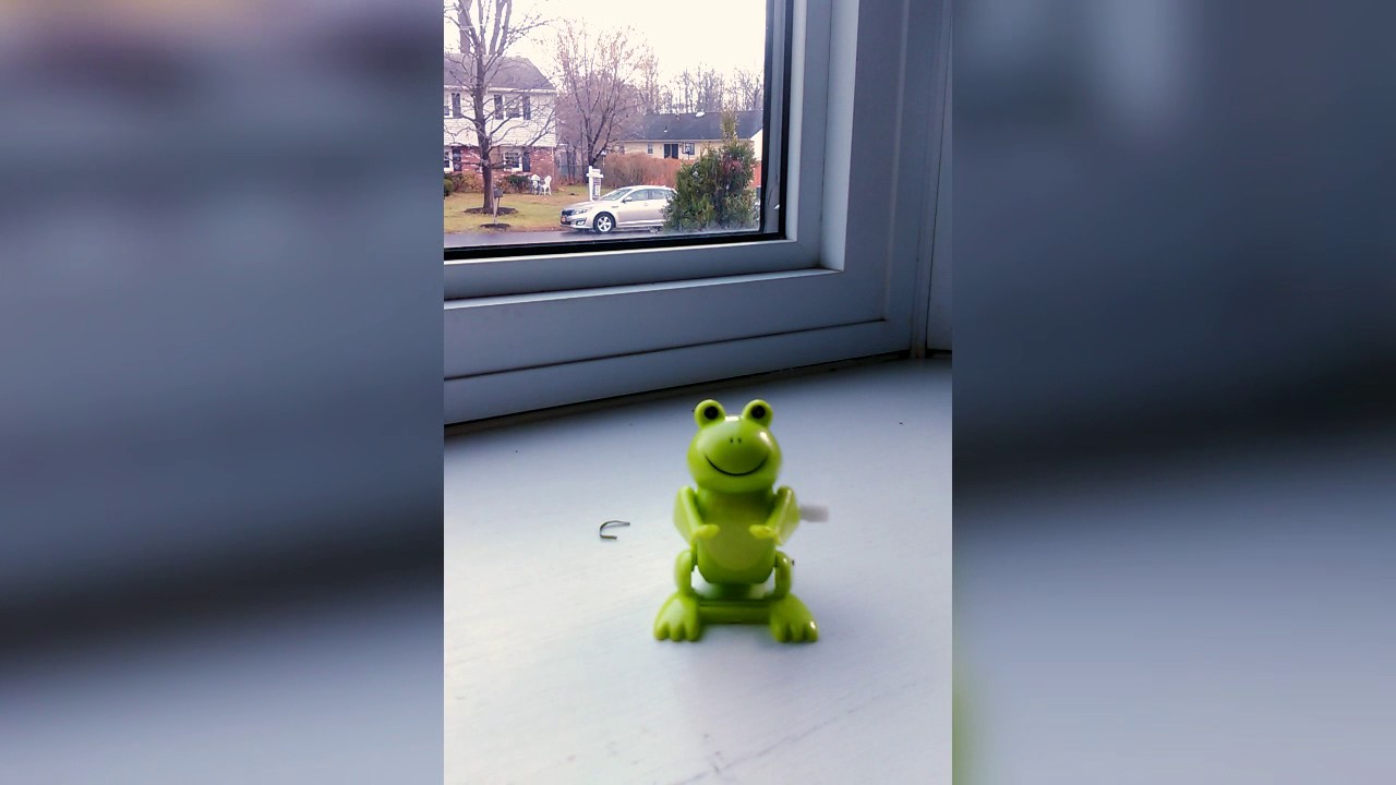 FROG DOES BACKFLIP! - YouTube