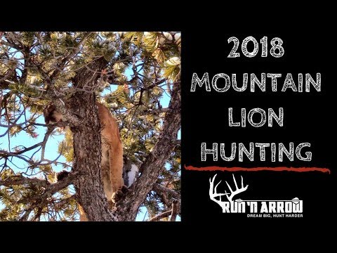 2018 Mountain Lion Hunting