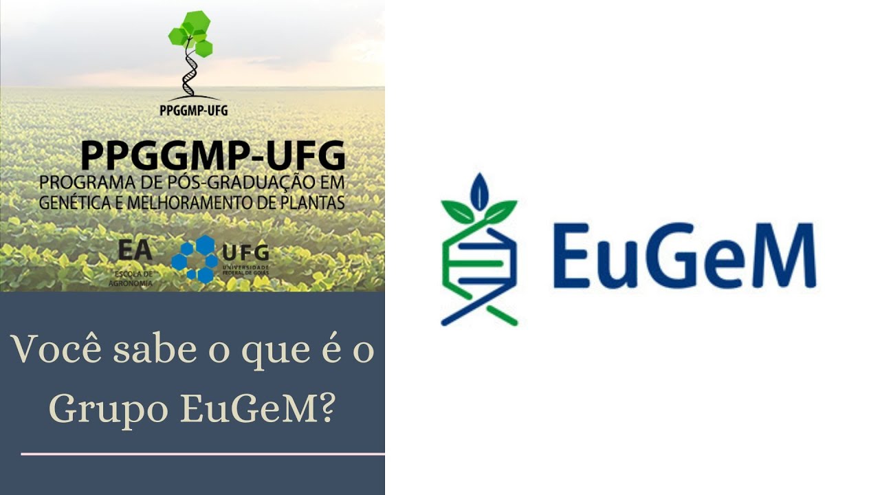 Apresentação Eugem (Você sabe o que é o Grupo EuGeM?) - YouTube