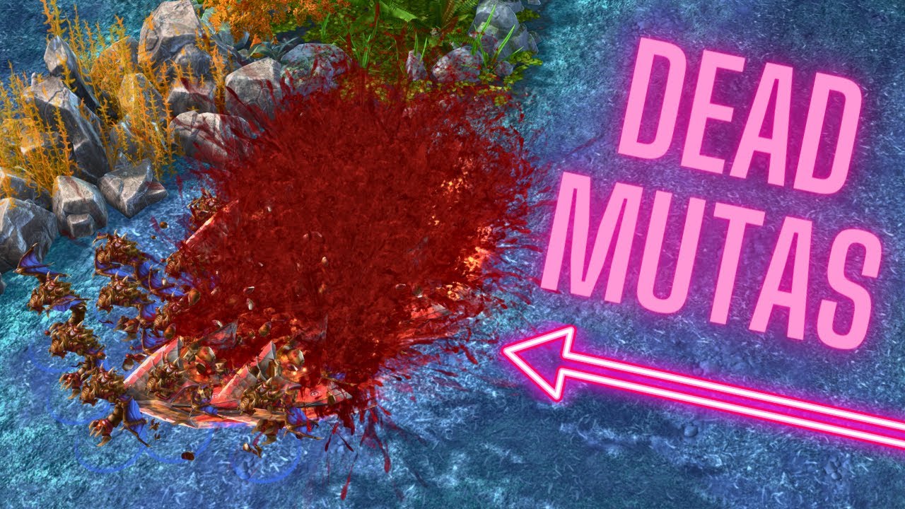 New Muta Meta (New Unit): An Answer to the Mutalisk? StarCraft 2 Custom Cast - YouTube