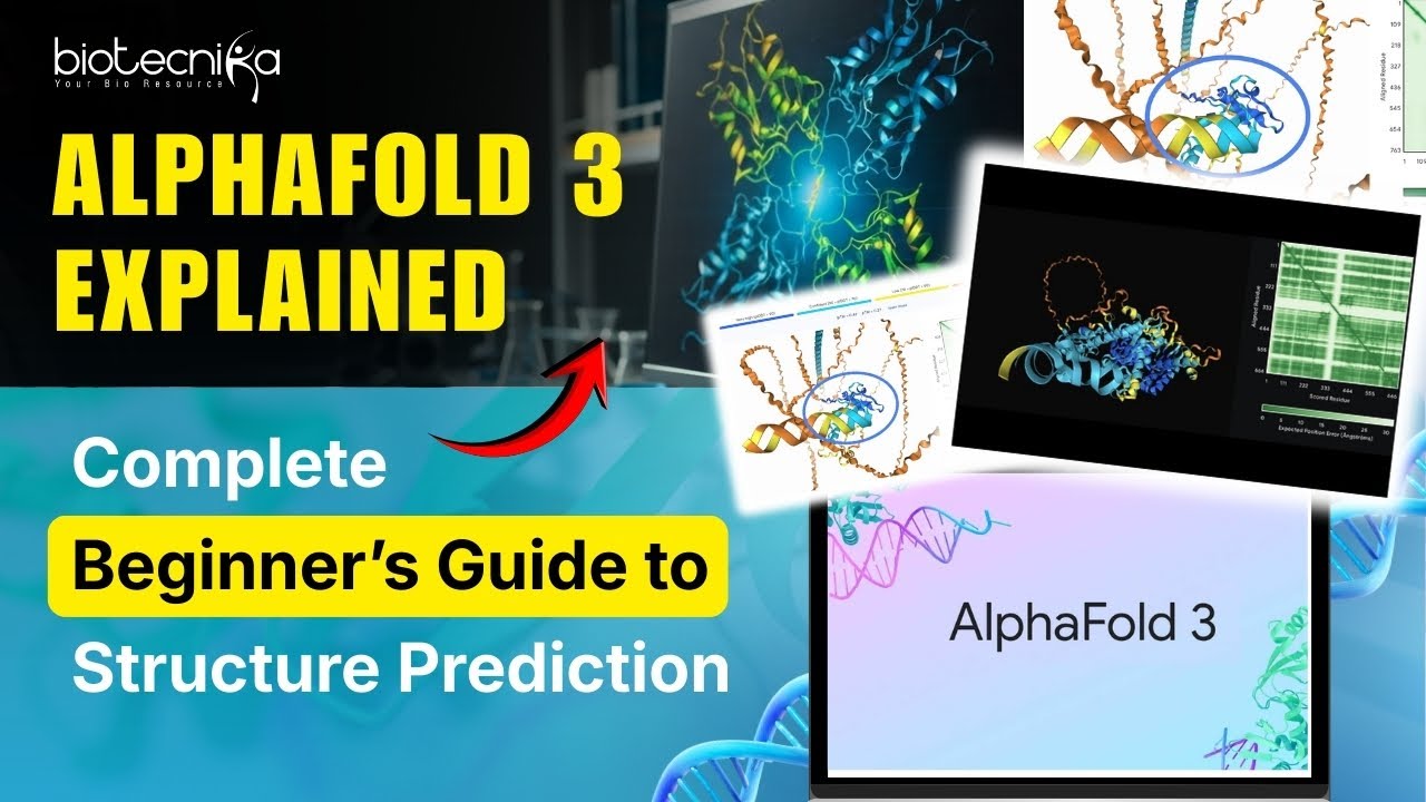 AlphaFold 3 Explained | Complete Beginner’s Guide to Structure ...