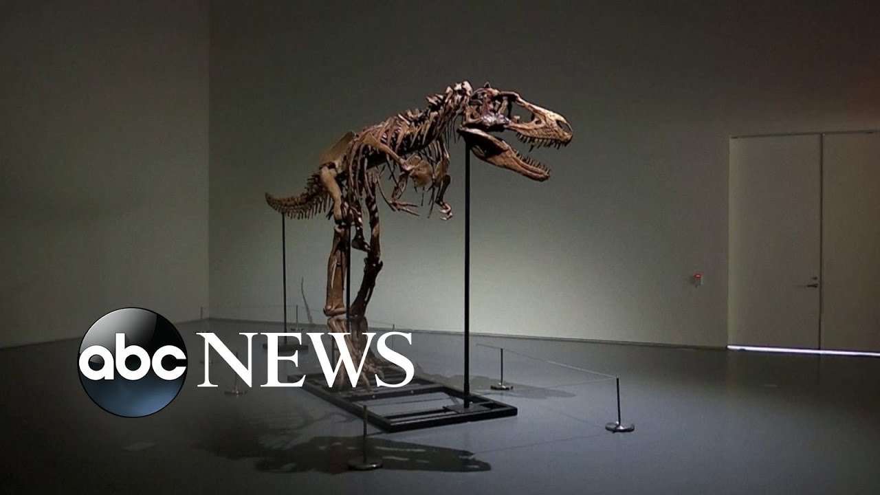 76-million-year-old dinosaur fossil sells at auction for $6.1 million ...