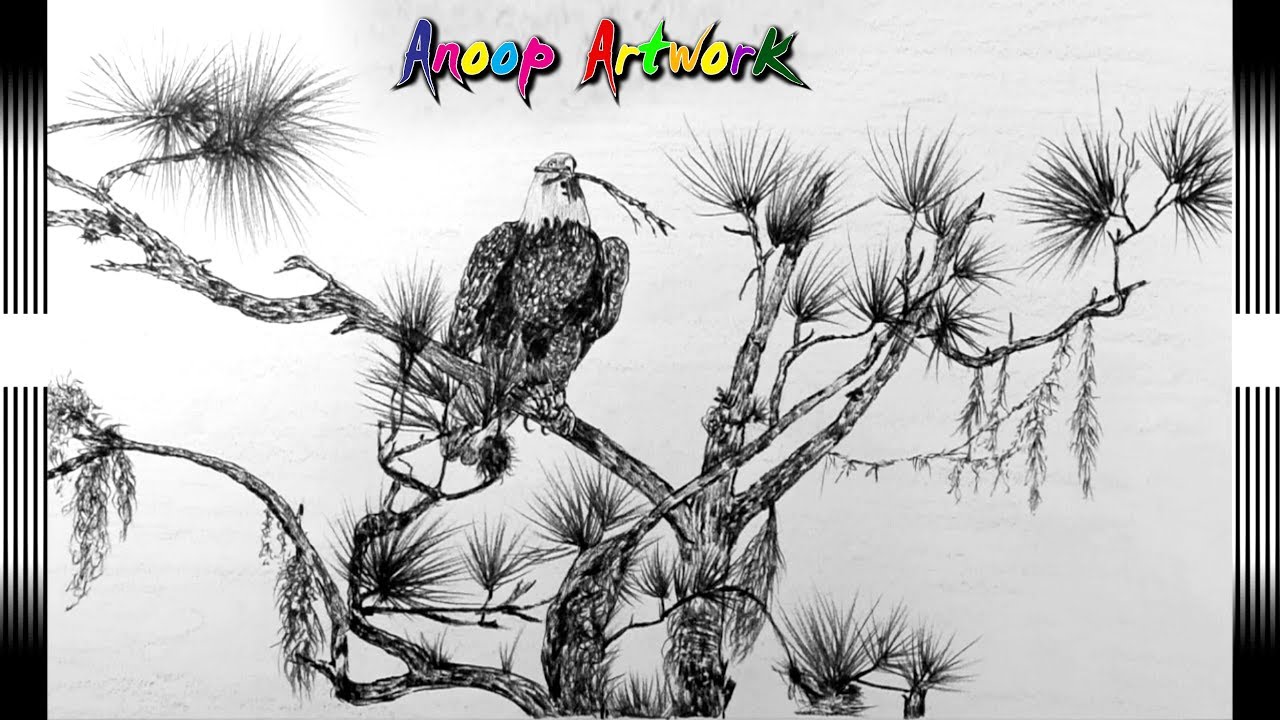 How to Draw Eagle in Tree Pencil drawing | Pencil Shading - YouTube
