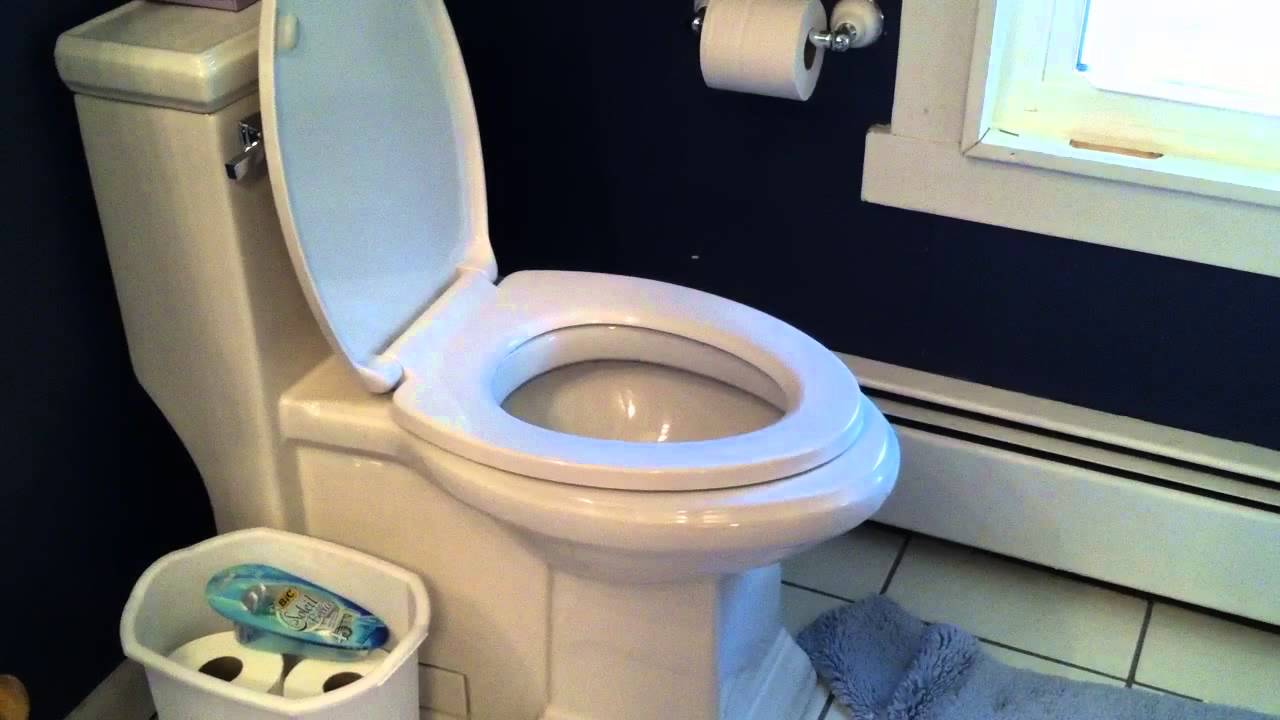 Joyspring pottywise - tewsgourmet