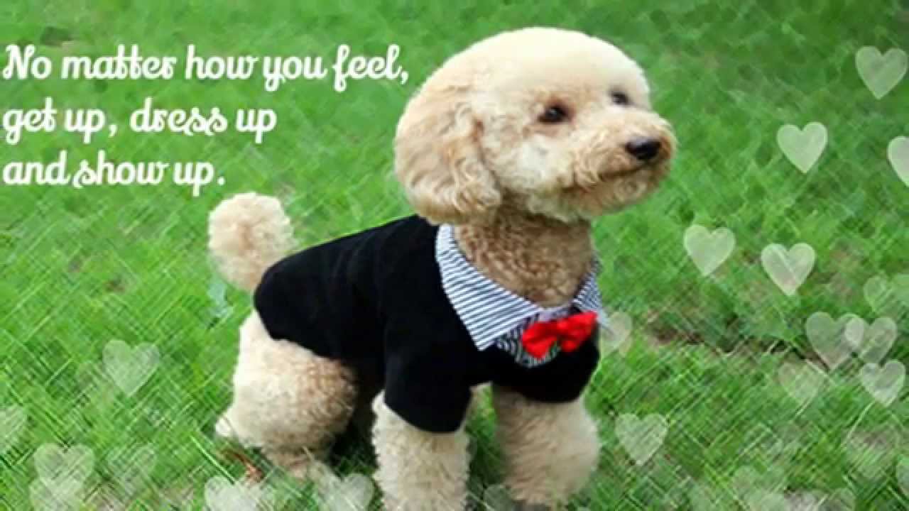 Amazing Sentences that can change your Life - YouTube