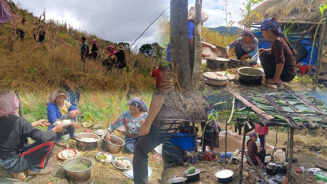 Harvesting time |created memories with villagers people - YouTube