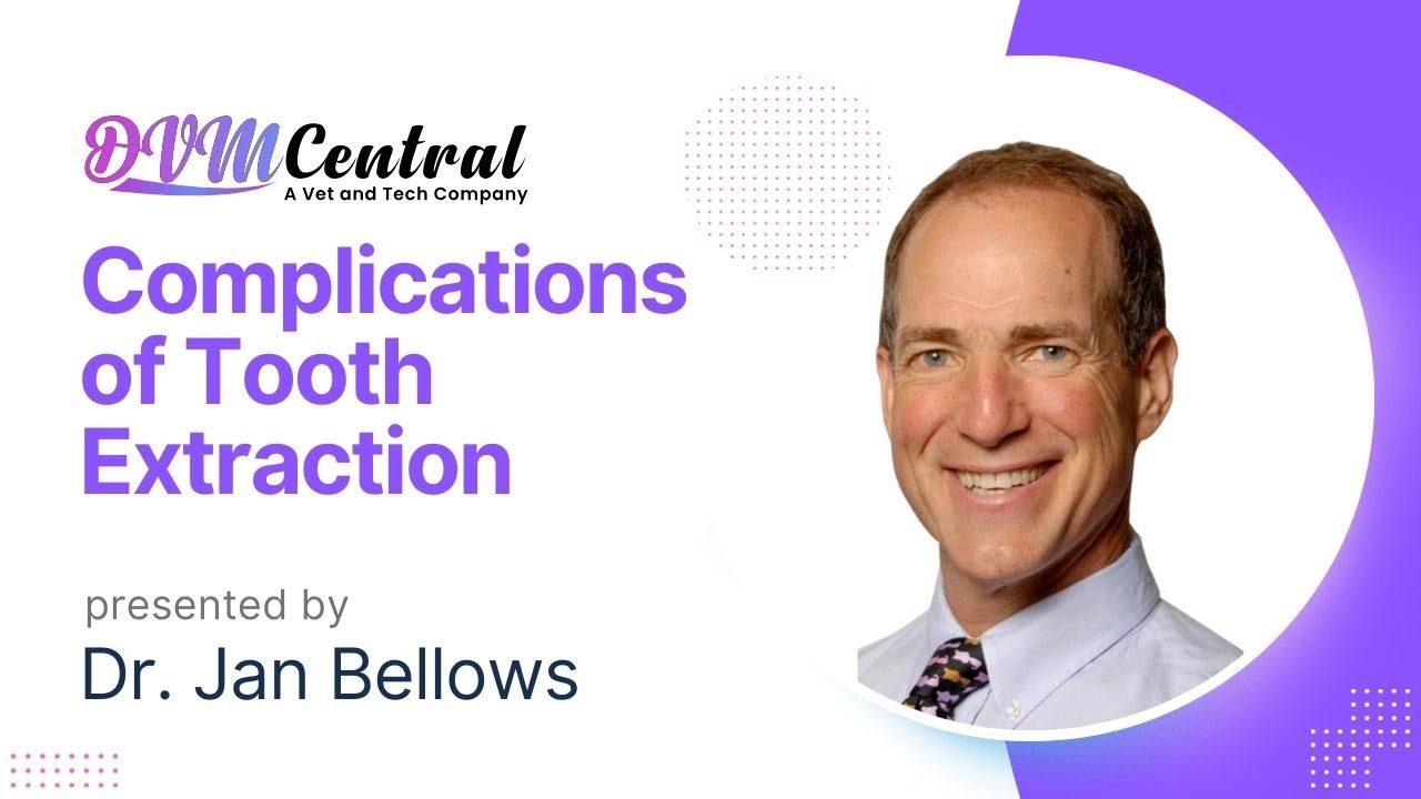 Dr. Jan Bellows: Complications Of Tooth Extraction | DVM Central - YouTube