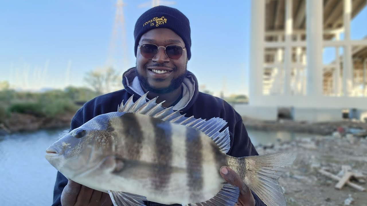 Texas Sheepshead **Catch Clean and Cook** | Parmesan Crusted Sheepshead ...