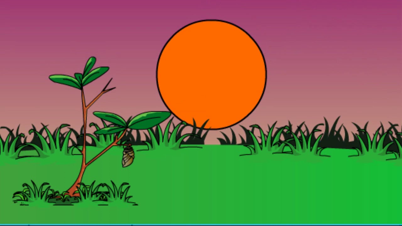 Ang Ikot Buhay ng Paruparo Animated Video for Science - YouTube