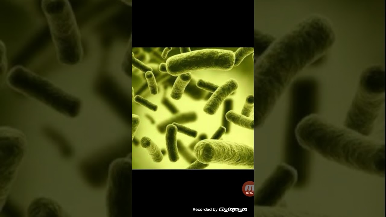 THE MOST DANGEROUS SUBSTANCE ON EARTH|| Botulinum Toxin Type H - YouTube