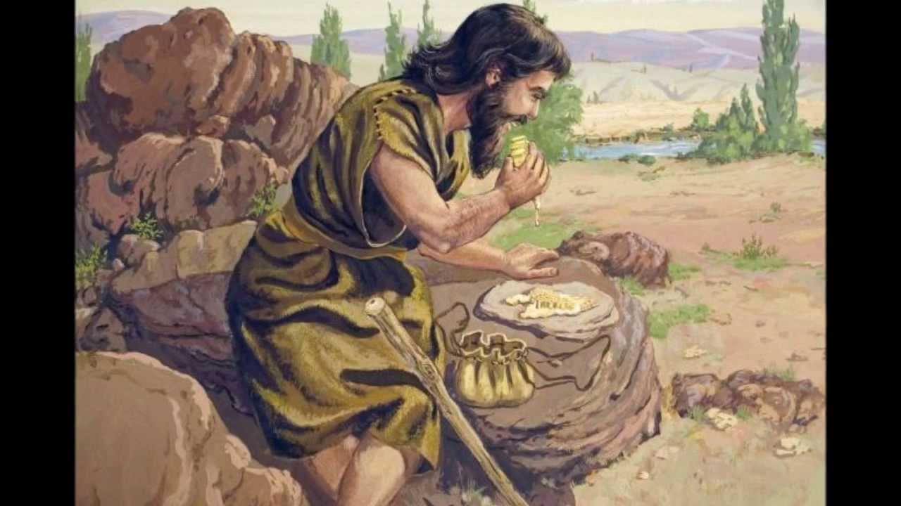 Did John The Baptist REALLY Eat BUGS YouTube