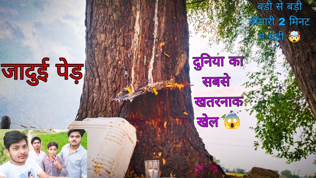 jadui neem ka ped | जादुई नीम् का पेड़ | megical tree | chambal vlogs 😱 ...
