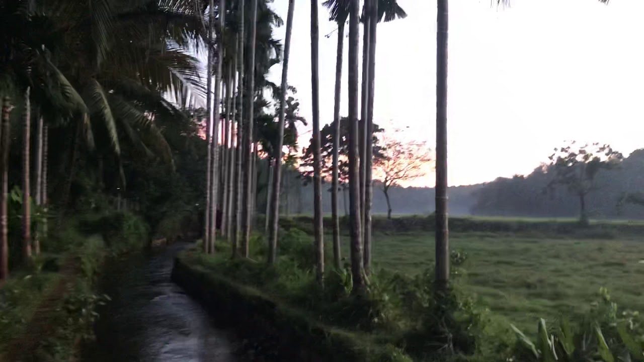 kadiyangad canal beauty - YouTube