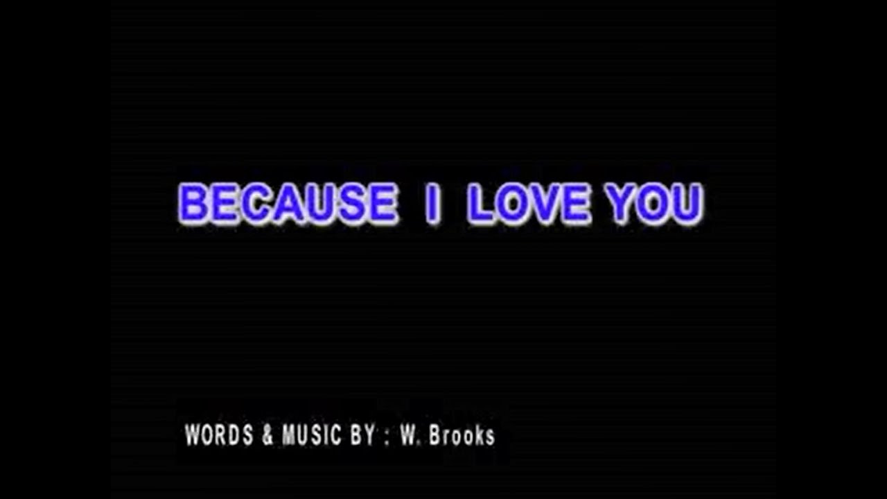 BECAUSE I LOVE YOU KARAOKE BY STEVIE B - YouTube