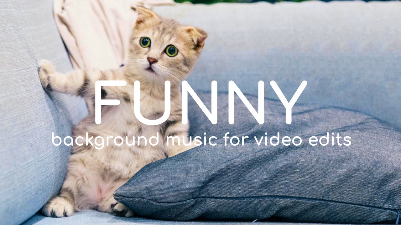 Funny Background Music No Copyright Happy Royalty Free Music - YouTube