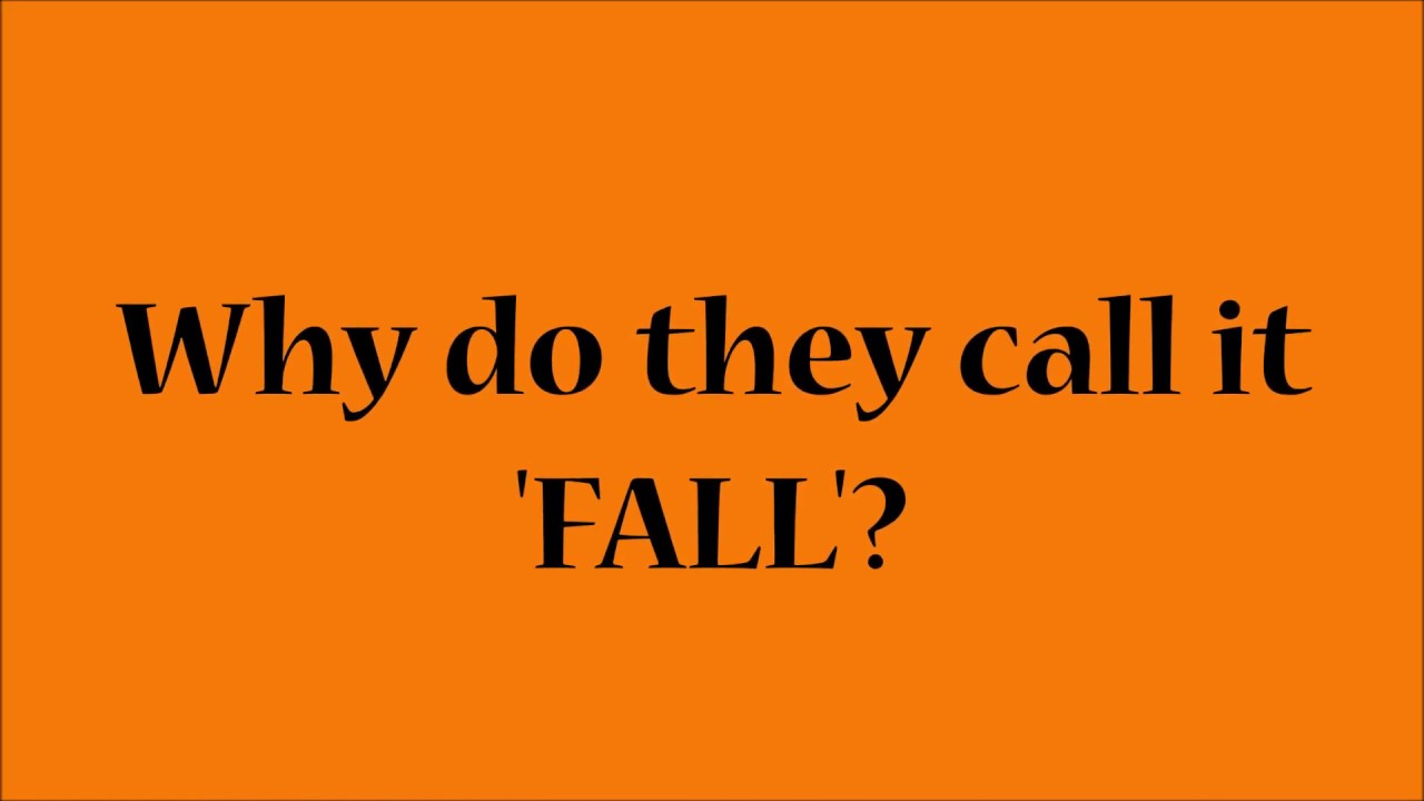 Why Do They Call it Fall? - YouTube