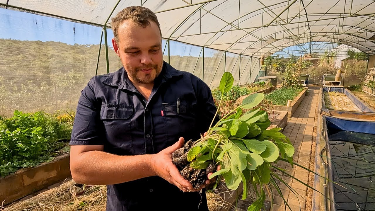 Life on a Small Farm: Planting and Harvesting - YouTube