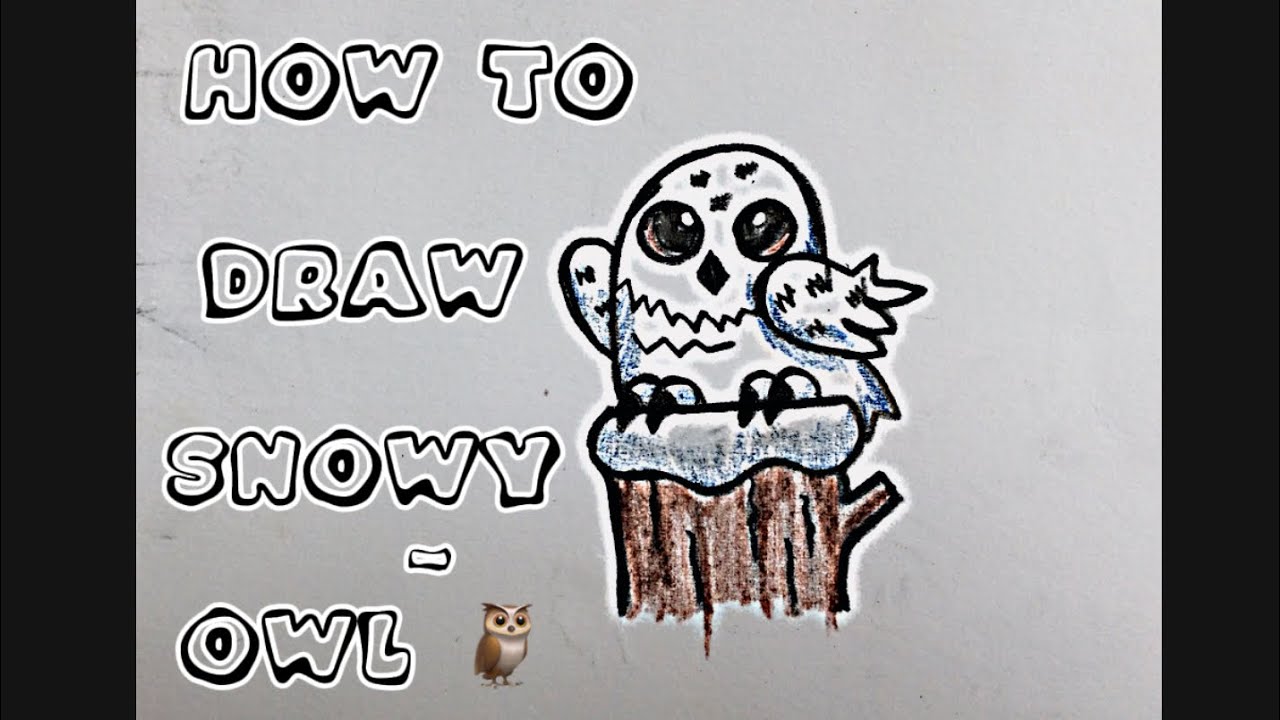 How to draw snowy owl 🦉? - YouTube