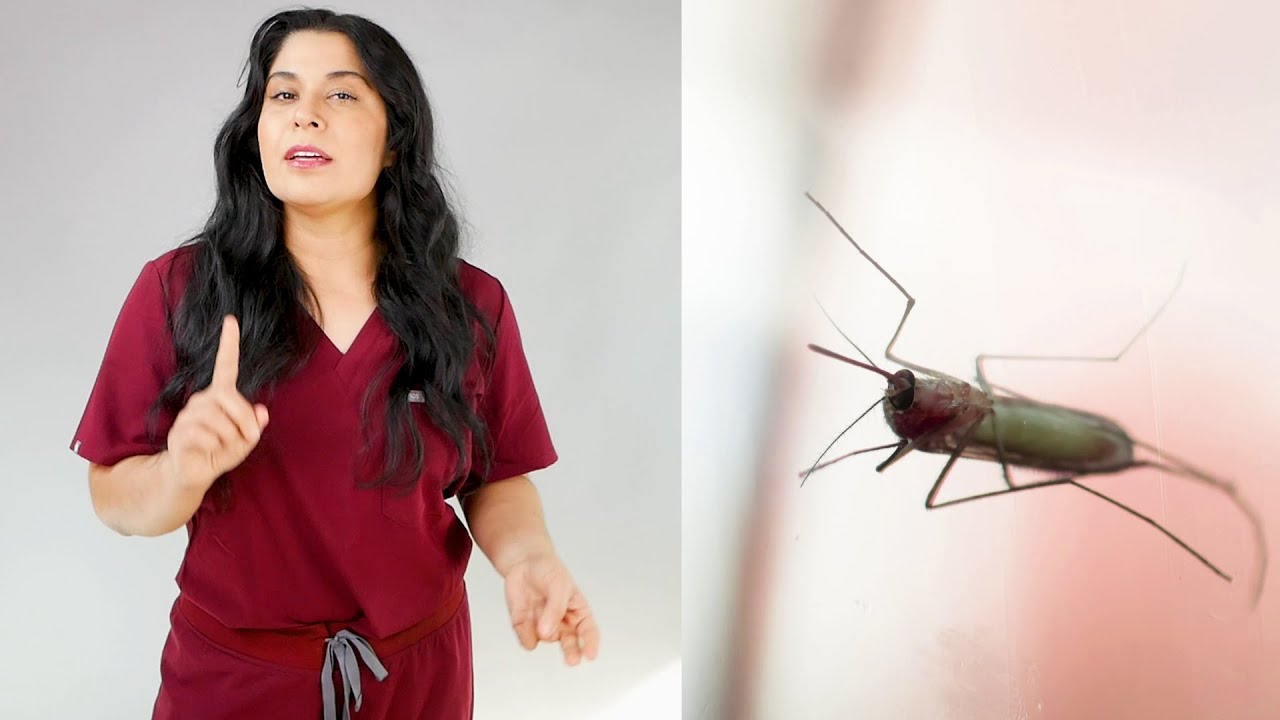 West Nile DEADLY? Doctor Explains... - YouTube