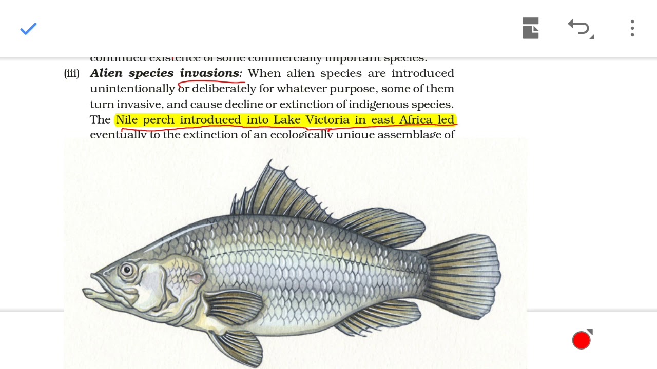 Alien species invasion with questions CHAPTER BIODIVERSITY AND ...
