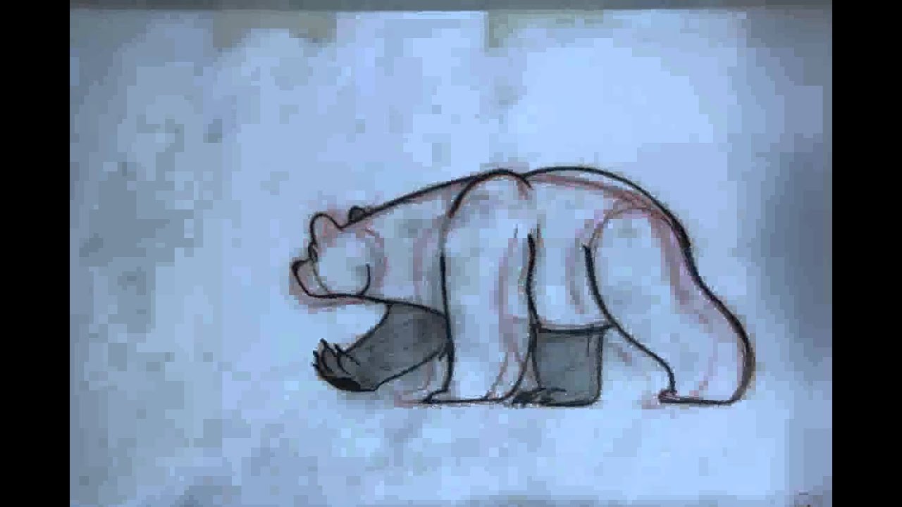 Bear walk cycle animation - YouTube