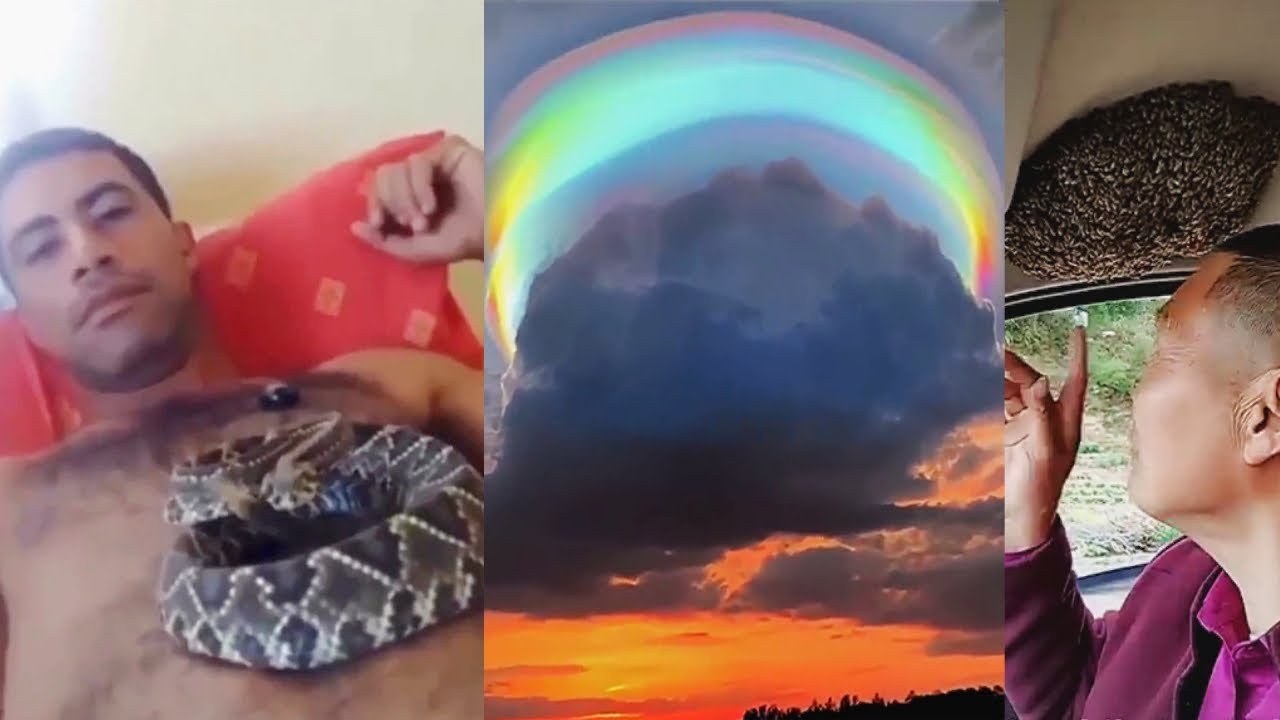 STRANGEST THINGS CAUGHT ON CAMERA | AMAZING THINGS YOU HAVE NEVER SEEN ...