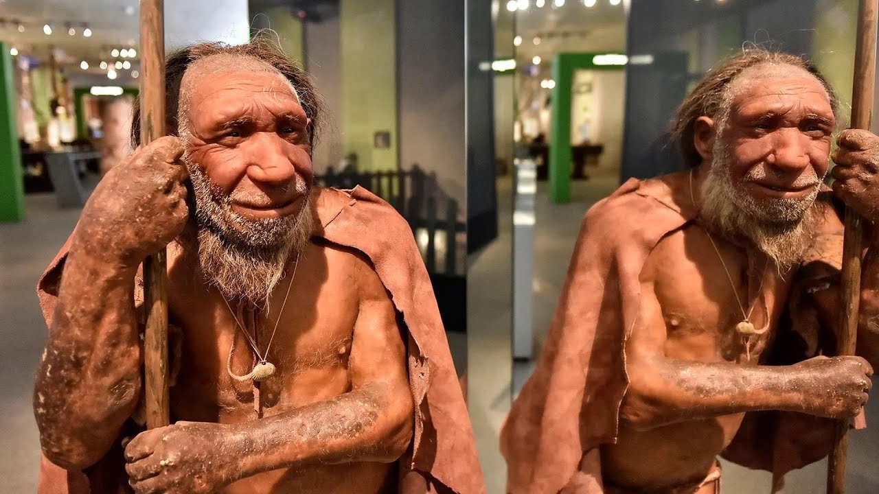 WAA MAXAY EVOLUTİON? FAHAM KOOBAN OO TUSAALEYSAN - YouTube