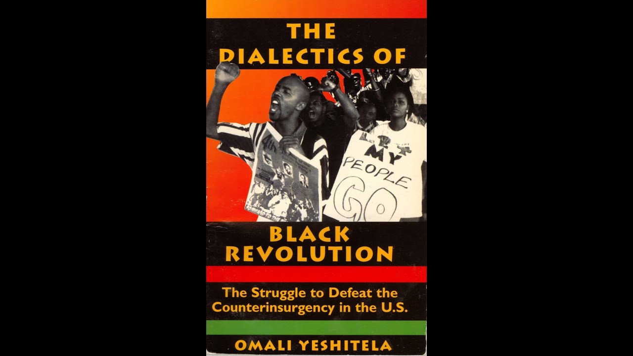 the dialectics of black revolution omali yeshitela - YouTube