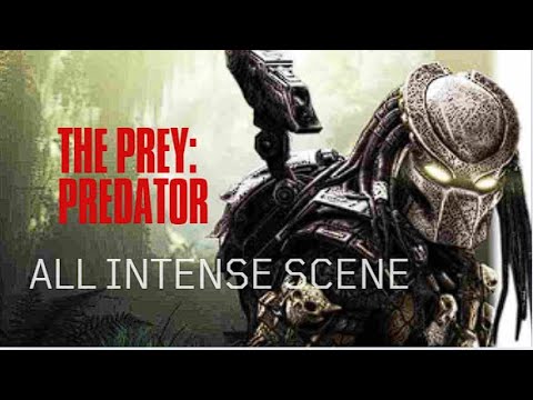 PREDATOR: The Prey All Cut Scenes #predator #yautja #alienvspredator # ...