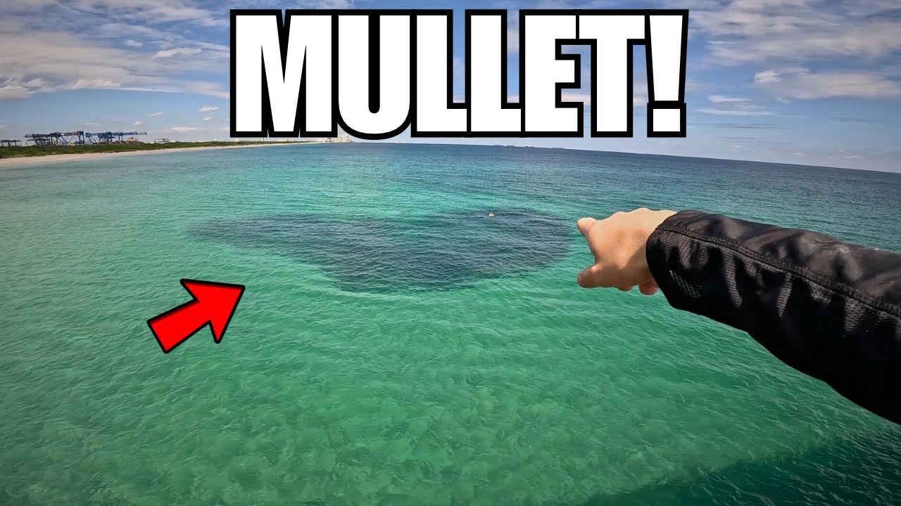 FLORIDA MULLET RUN! - YouTube