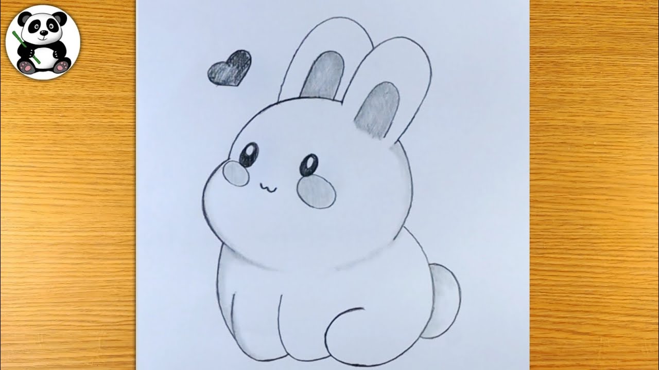 Cute fatty rabbit animal pencil drawing | easybunny ...