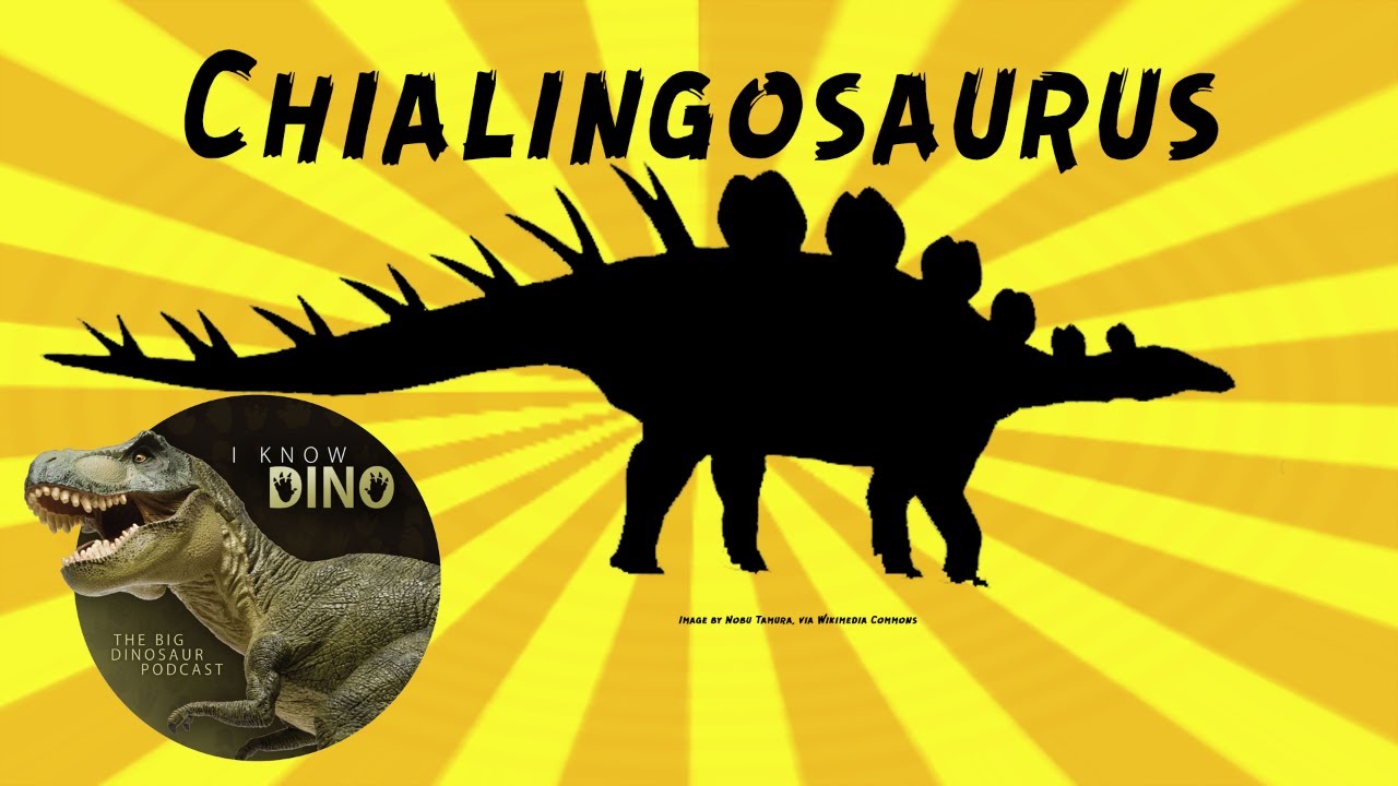 Chialingosaurus: Dinosaur of the Day - YouTube