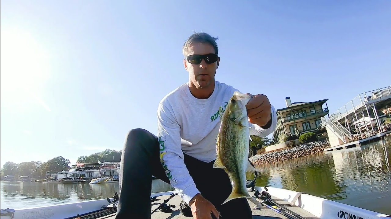 Catching some bass and stripe on logan martin after a cold front - YouTube