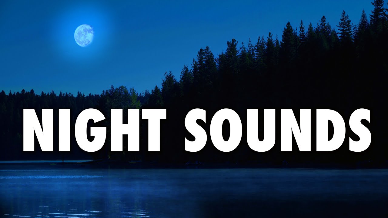 Night Sounds for Sleep - YouTube