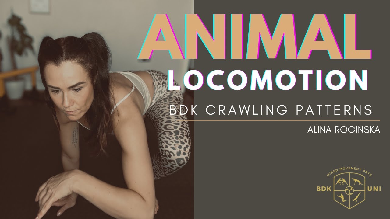BUILDING STRENGTH WITH ANIMAL CRAWLING PATTERNS - YouTube