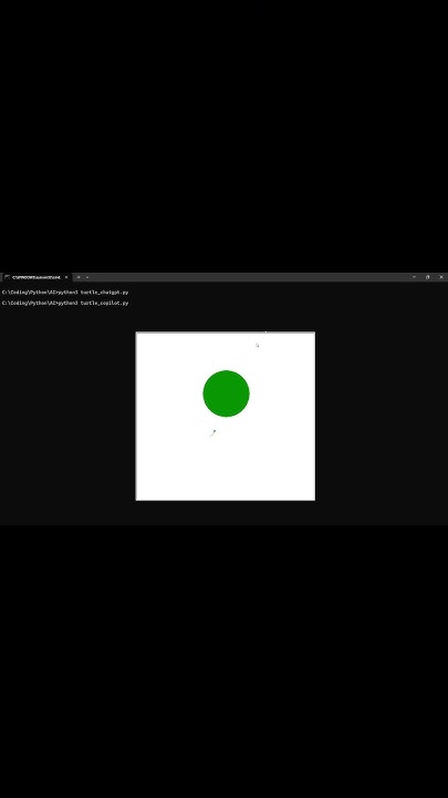 ChatGPT vs. CoPilot vs. Deepseek (Python Turtle) - YouTube